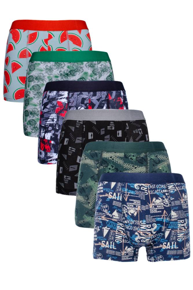 Berrak 4480 6'Lı Erkek Boxer ASORTİ Erkek Boxer Berrak